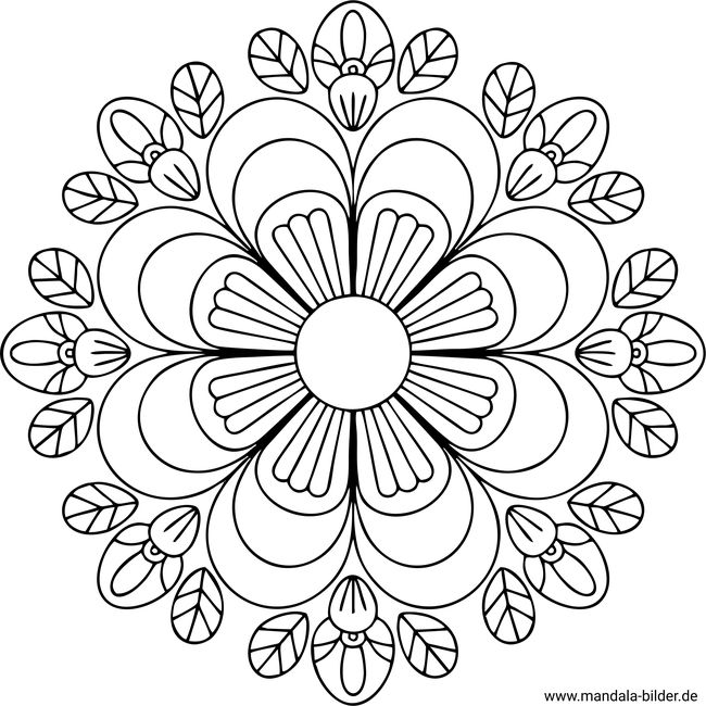 Blumen Mandala mit zarten Blättern Malvorlage Erwachsene